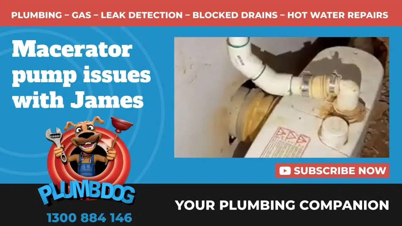 Blocked Toilet & Macerator Pump Issue Fixed | Plumbdog