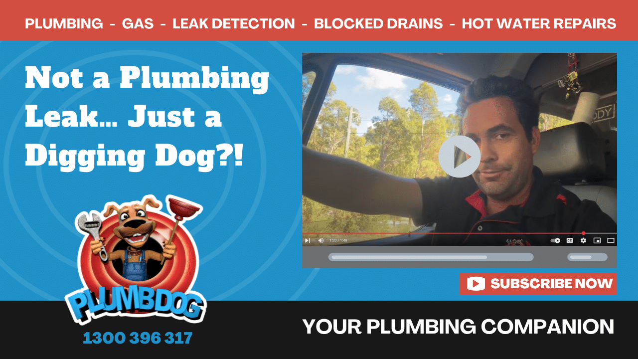 🐾 Deck Subsidence in Perth? Turns Out It Wasn’t a Leak… Just a Digging ...