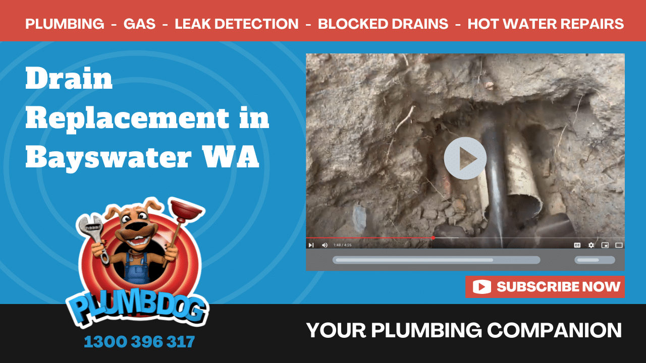 Drain Replacement in Bayswater WA – Sunk Pipe, Tree Roots ...