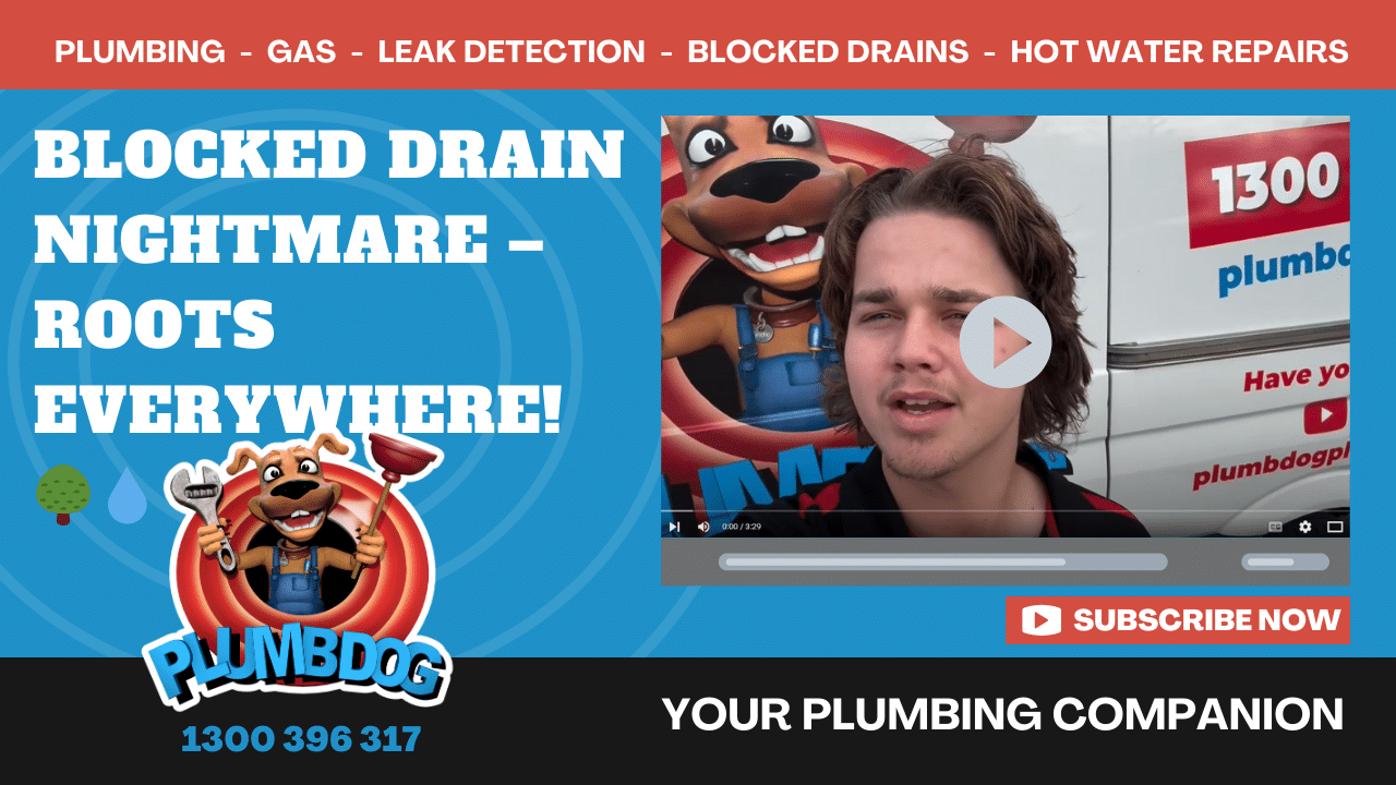 Hillman Blocked Drain Cleared | Tree Roots Removed by Plumbdog Perth