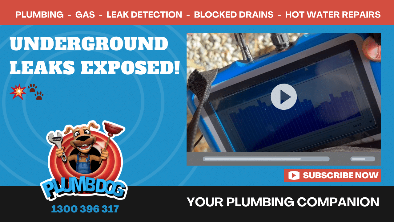 Leak Detection Dawesville | Hidden Water Leaks Found by Plumbdog