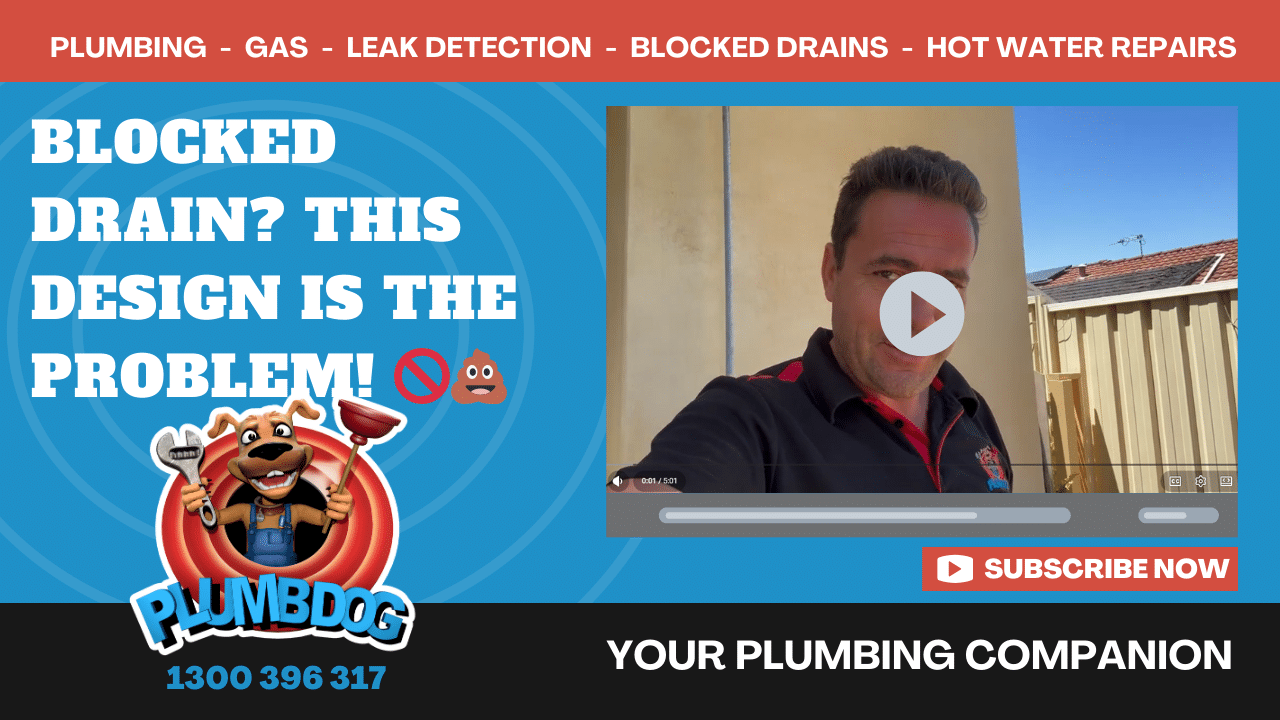 Blocked Gully Sorrento | Tree Roots & Bad Installation Fixed | Plumbdog ...